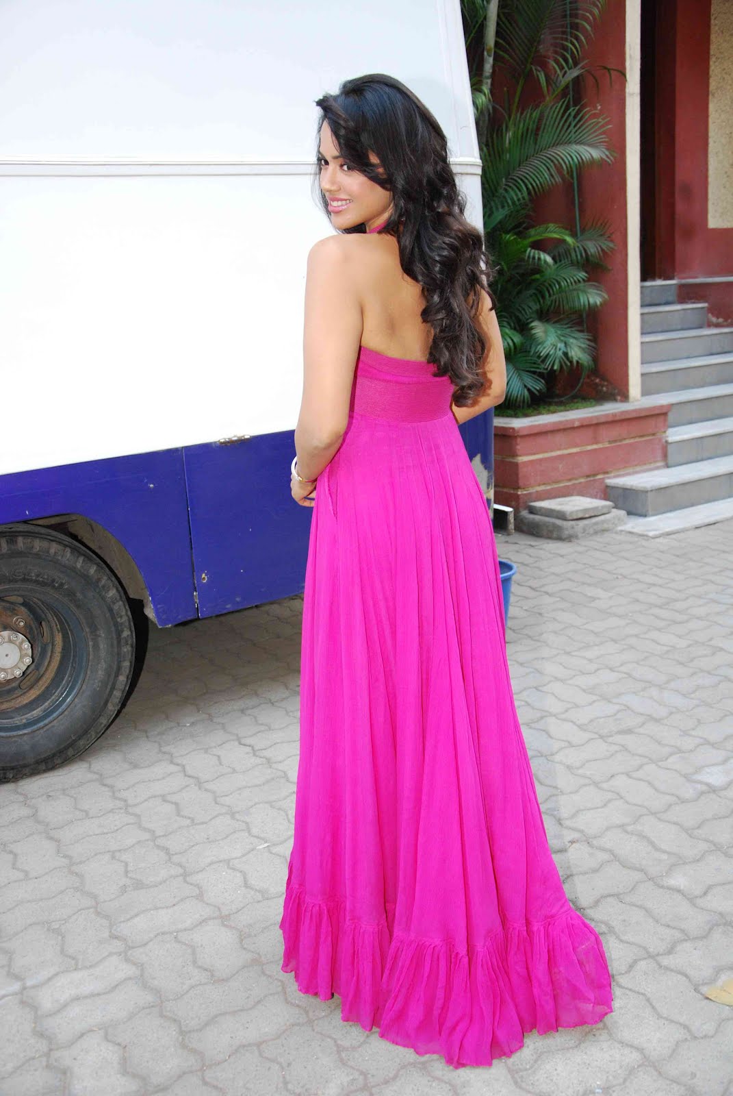 Sameera Reddy Hot in Pink Dress Photo Stills - Hot PHOTOSHOOT Bollywood ...