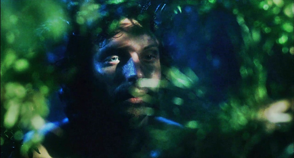 The Bloody Pit of Horror: Howling, The (1981)