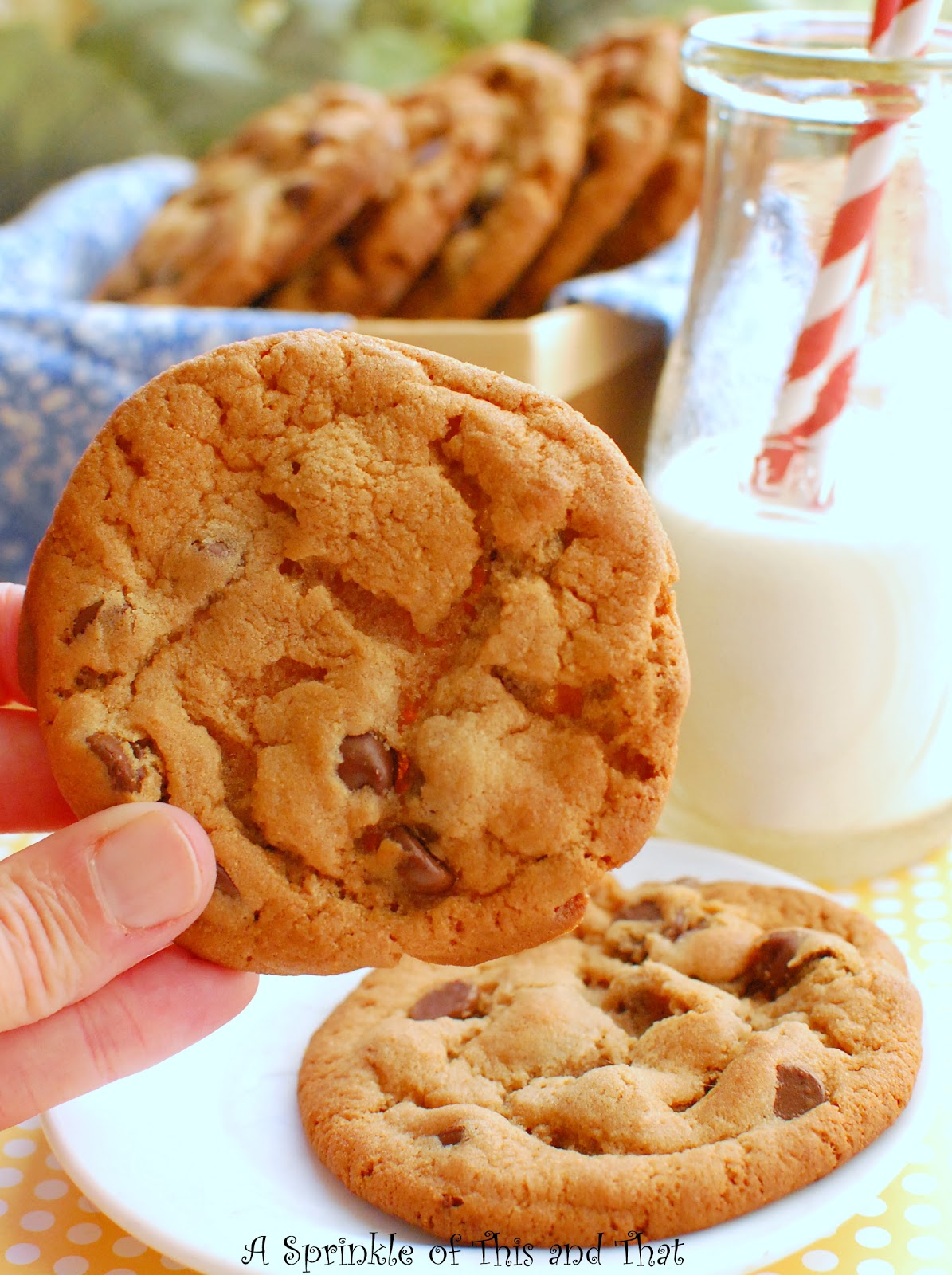 A Sprinkle of This and That: Chocolate Malted Cookies