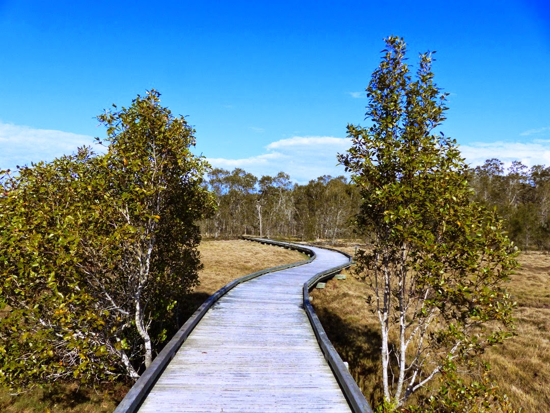 National Park Odyssey: Boondall Wetlands, Brisbane QLD