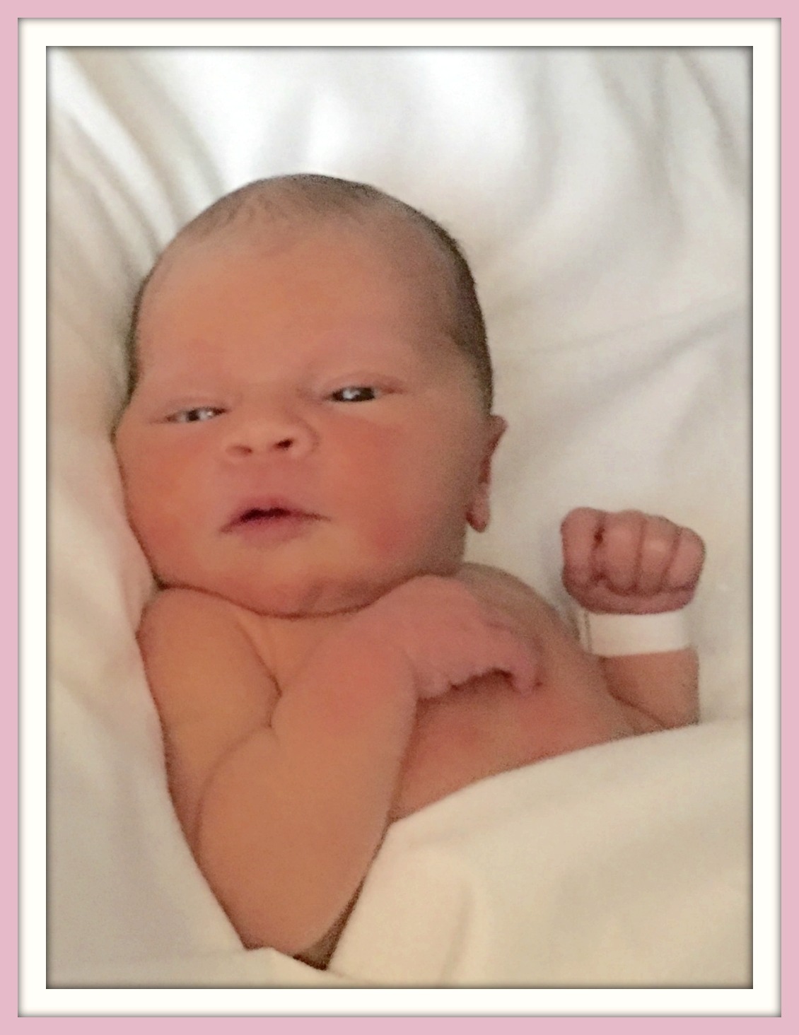 The Nest at Finch Rest: WELCOME to the World, Baby Bug!