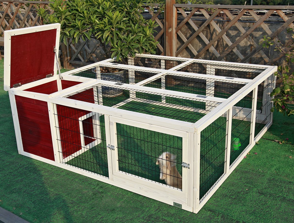 Rabbit Pet Lover: Outdoor Rabbit Hutch Outdoor,Chicken Coop