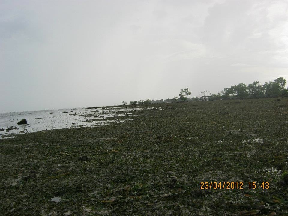 Micro Economics: Layag-layag Plan