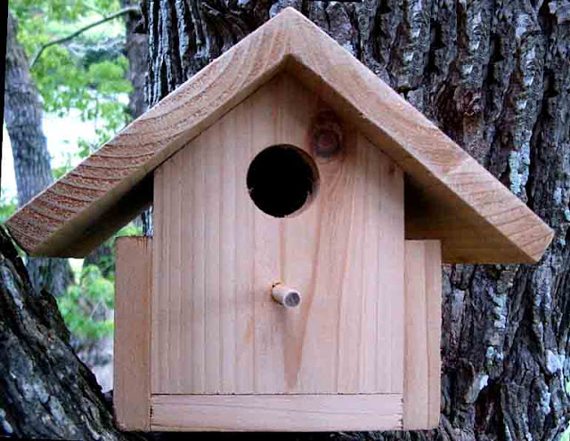 Bird In Everything House Wren Birdhouse bird-in-everything-house-wren-birdhouse