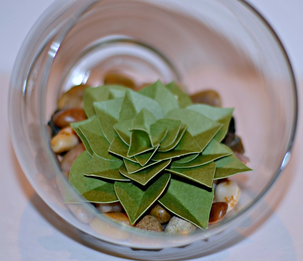 Paper Succulent Terrarium for the Black Thumb
