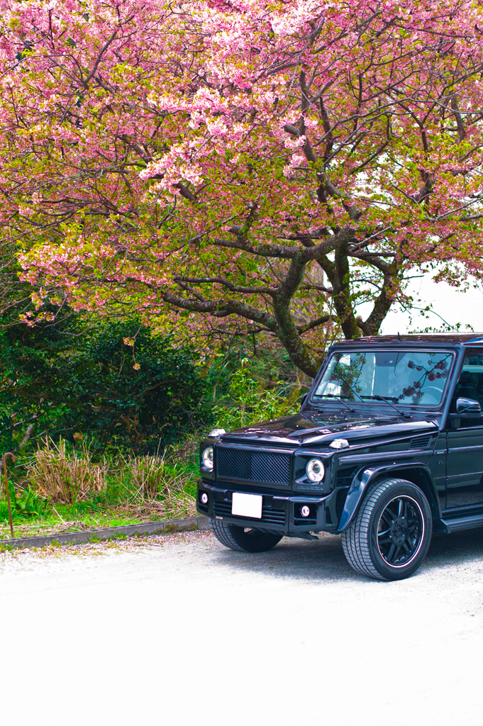 * LOVG * I Love Gelandewagen: GV12 / G500