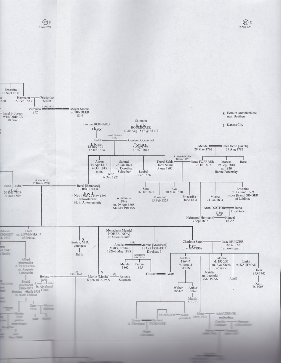 Neil Rosenstein: The Ancestry of Mavis nee Naumann