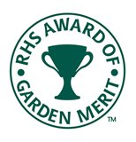 Plant Preview: 2012 Gold Medal Plant Award Winner is The Rising Sun ...