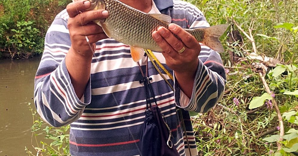 Pescuit pe Râuri: clean pescuit pe râu teleorman
