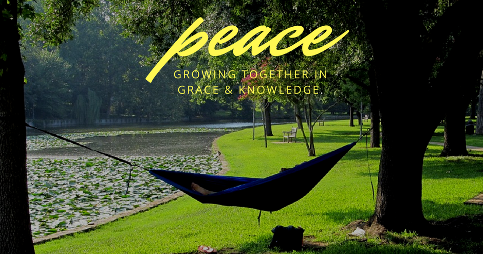 Peace in the Christian Life Hinges on One Thing...