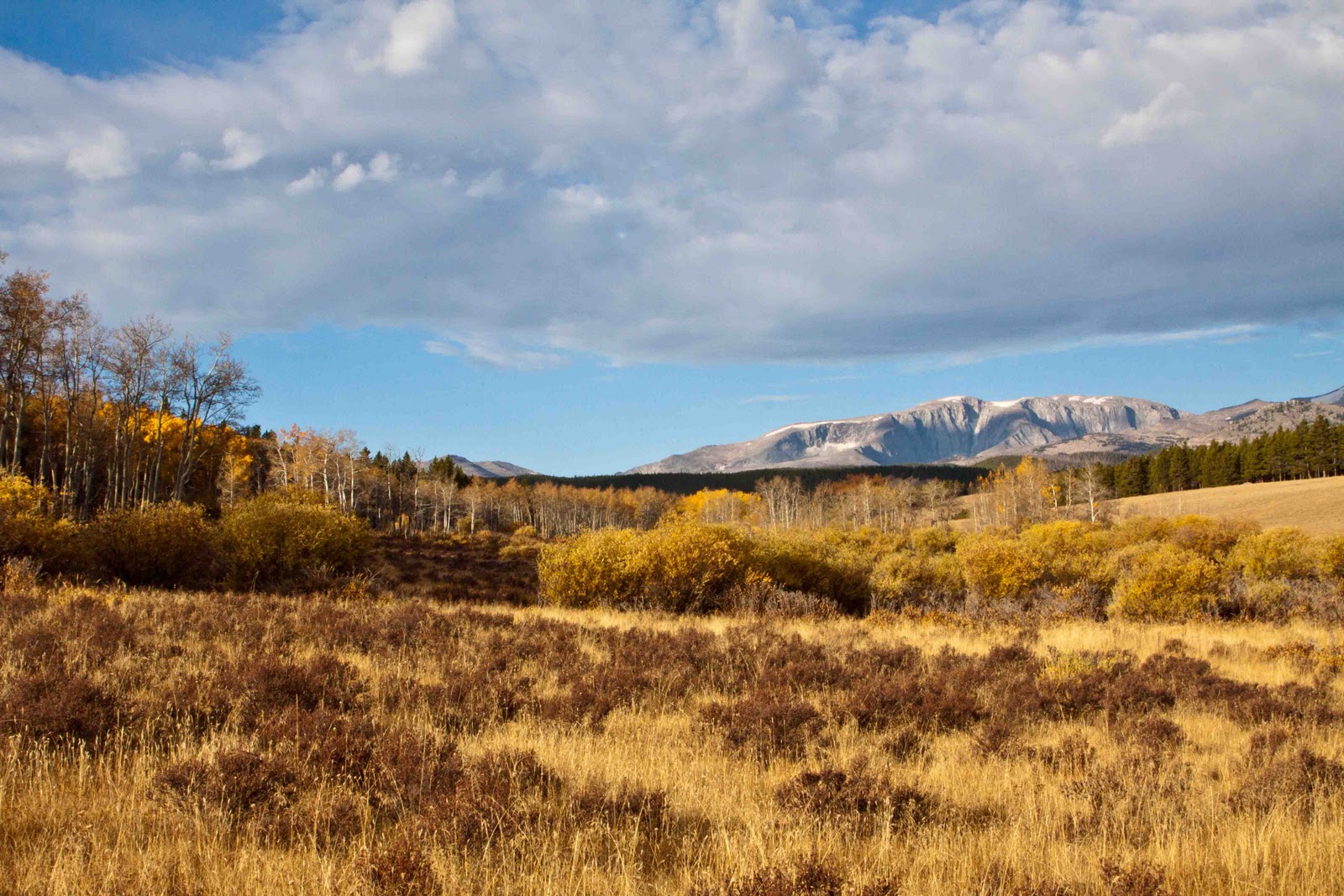 Tim Doolin Photography: Circle Park: Bighorn Mountains in the Fall ...