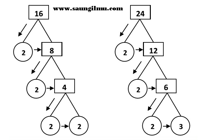 Pengertian dan Contoh Bilangan Prima Lengkap Ilmu Matematika | Seribu ...