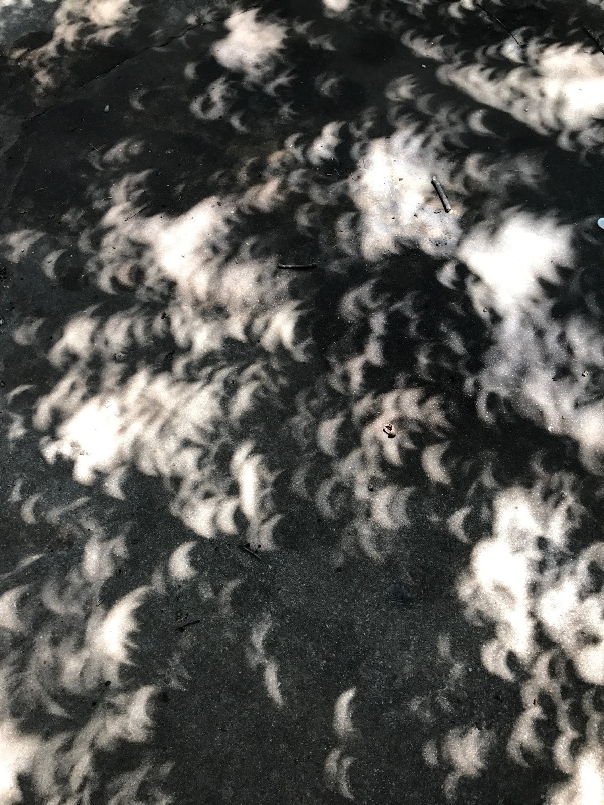 Cummins Life: Total Solar Eclipse 2017