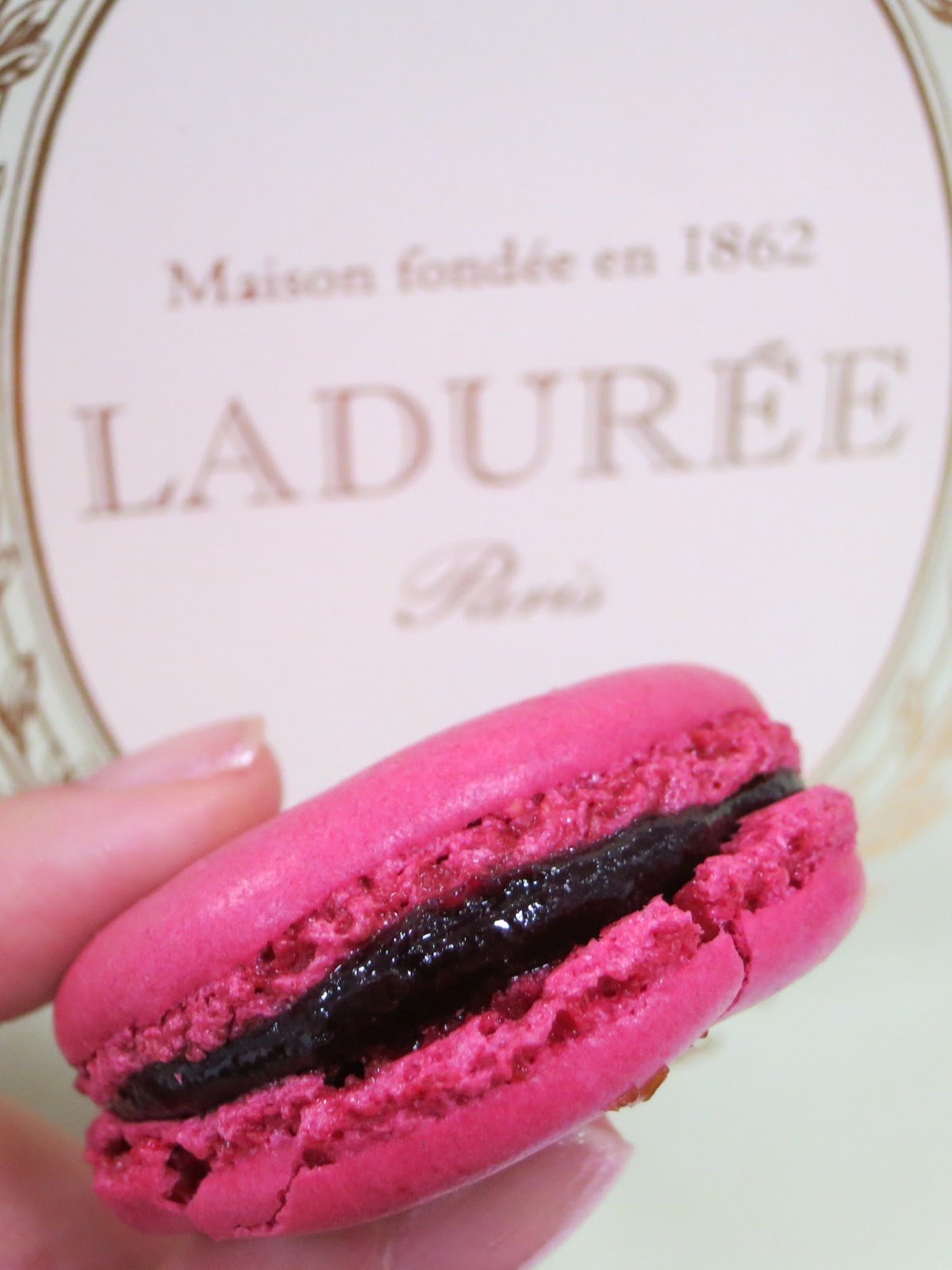PinkyPiggu: Renowned Ladurée Macarons is now in Singapore!