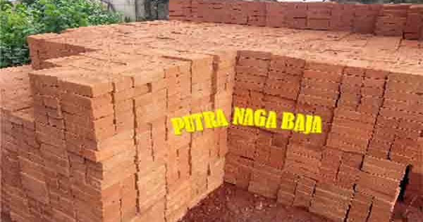 HARGA BATU BATA MERAH PRESS JUMBO TERBARU FEBRUARI 2024 | PUTRA NAGA BAJA