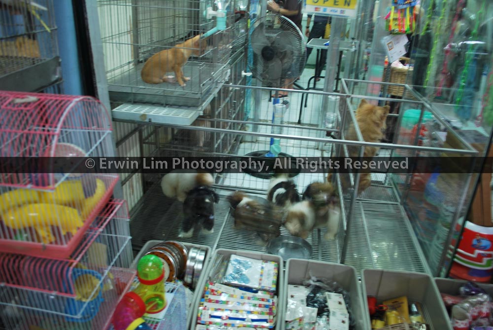 Worn out shu: A trip to Cartimar