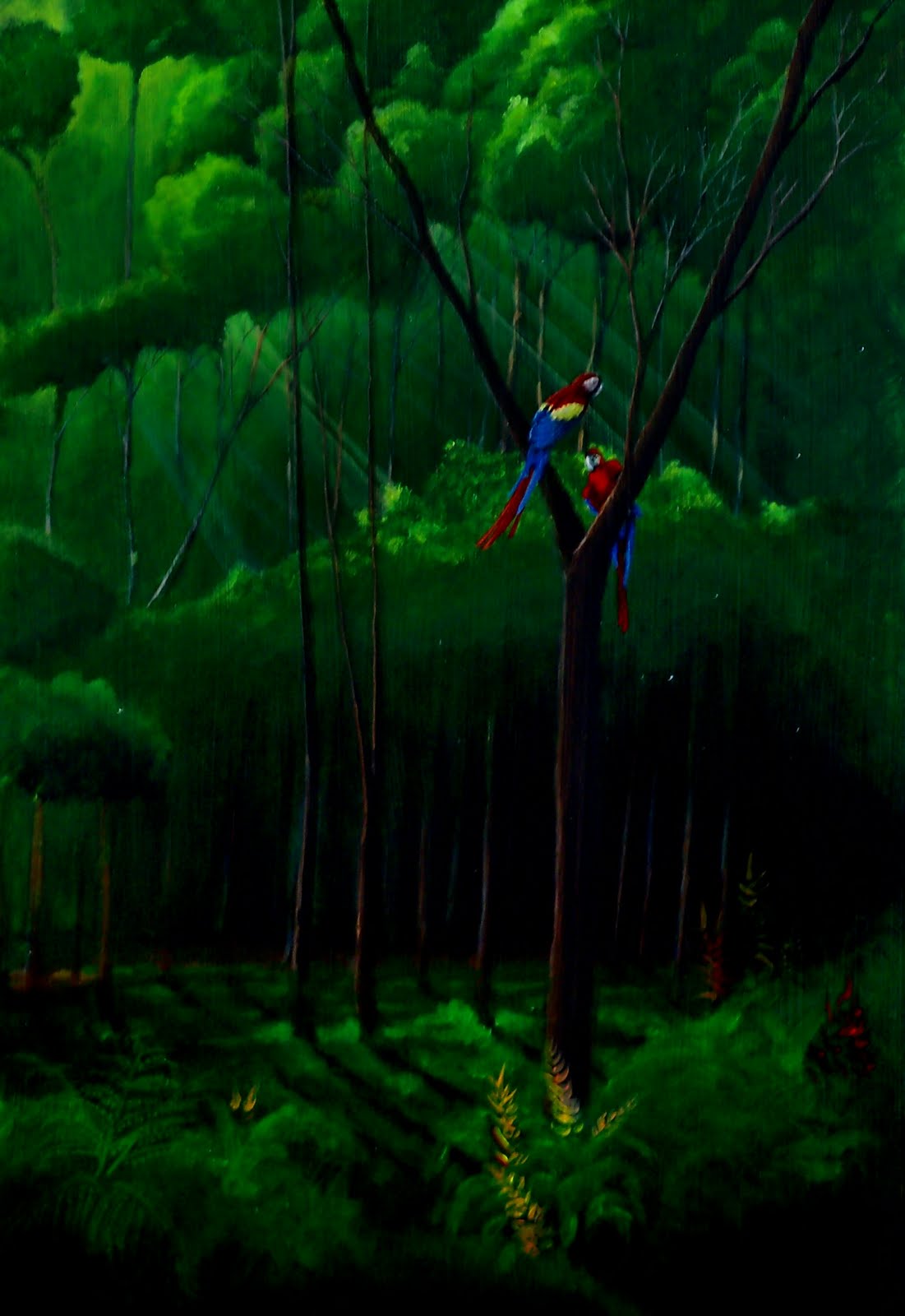 Jungle and Rainforest Art of Costa Rica: " Jungle Rainforests of Costa ...