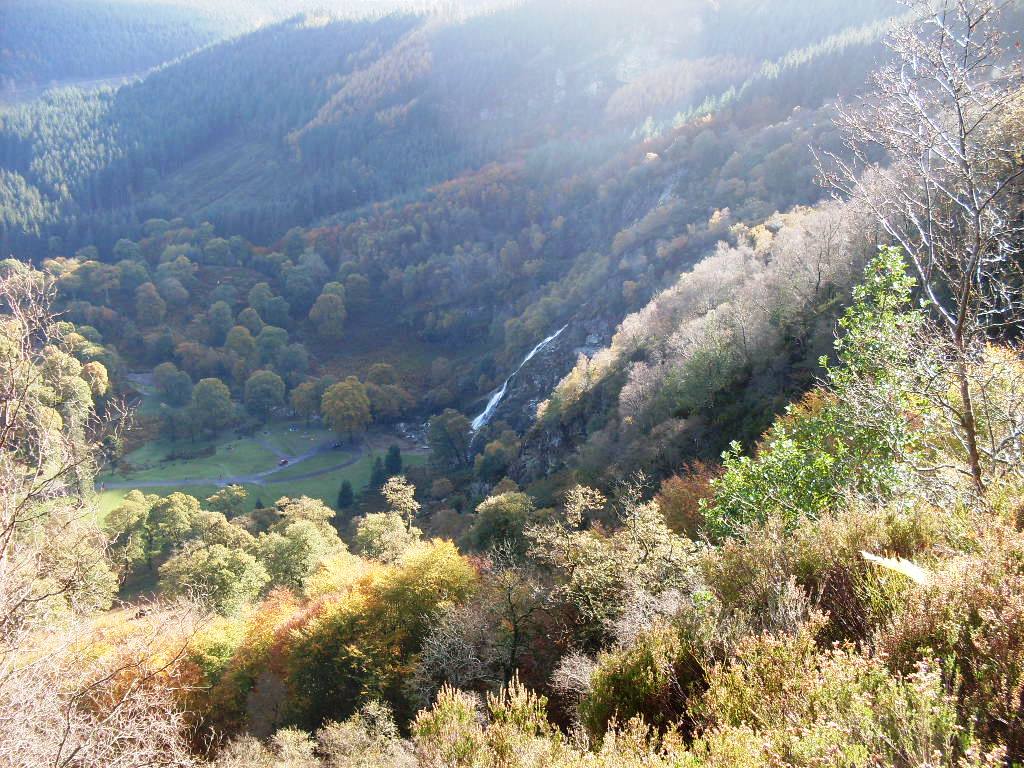 ☆Sharon's Sunlit Memories☆: Crone Forest towards Powerscourt Waterfall