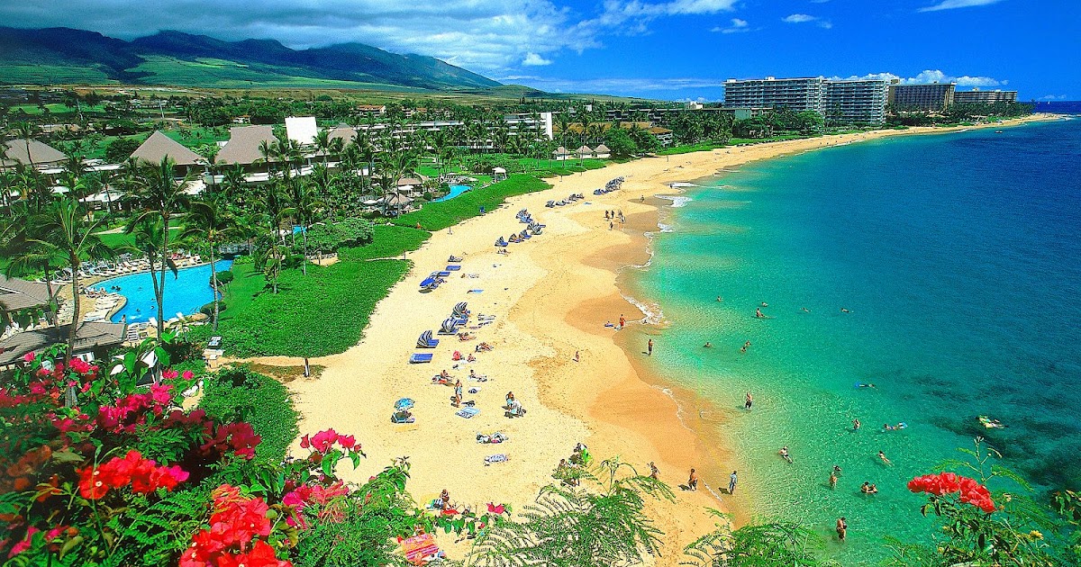 En un mundo ideal...: Let´s go to ¡HAWAI!