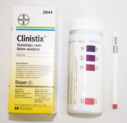 Wereldoriëntatie : Mijn blog