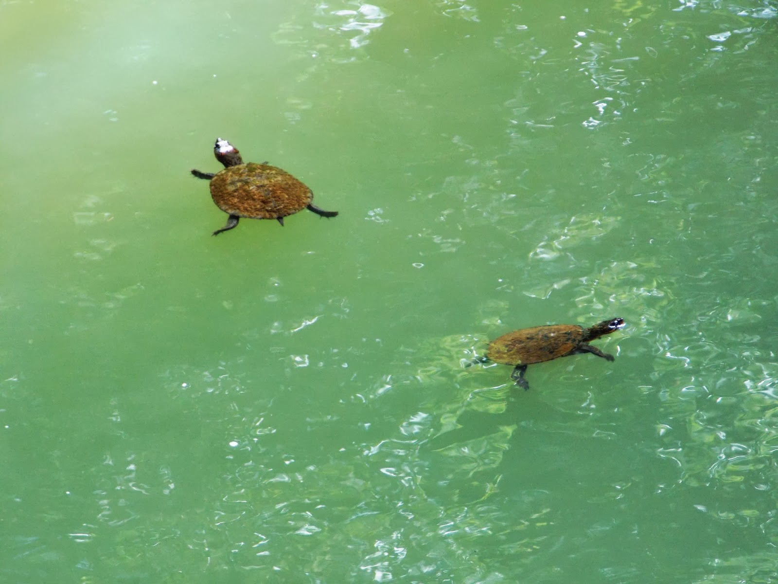 Crawf and Sue On the Move: Mackay