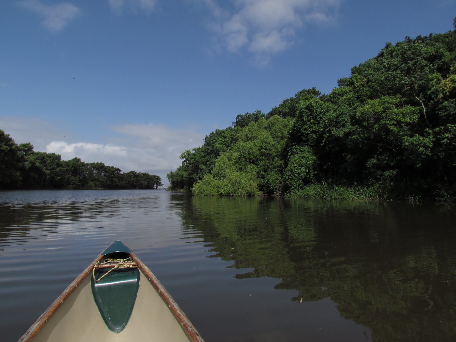 Adventures of a Vagabond Volunteer: Turtle Bayou on Sunday Morning