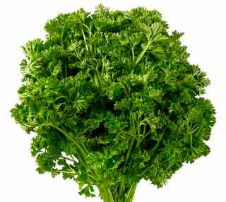 Parsley Health Benefits - Leovan Design