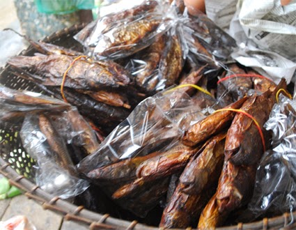 The Esteemed Fishes of Manipur