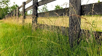 Guernsey Soil & Water Conservation District: Fence rows provide ...