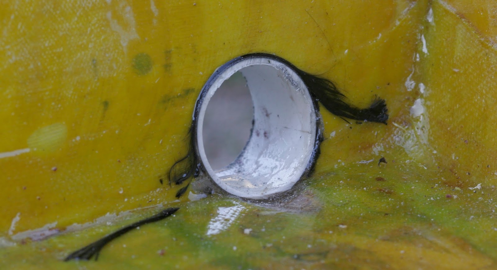 Sea State : Hydro: Scuppers