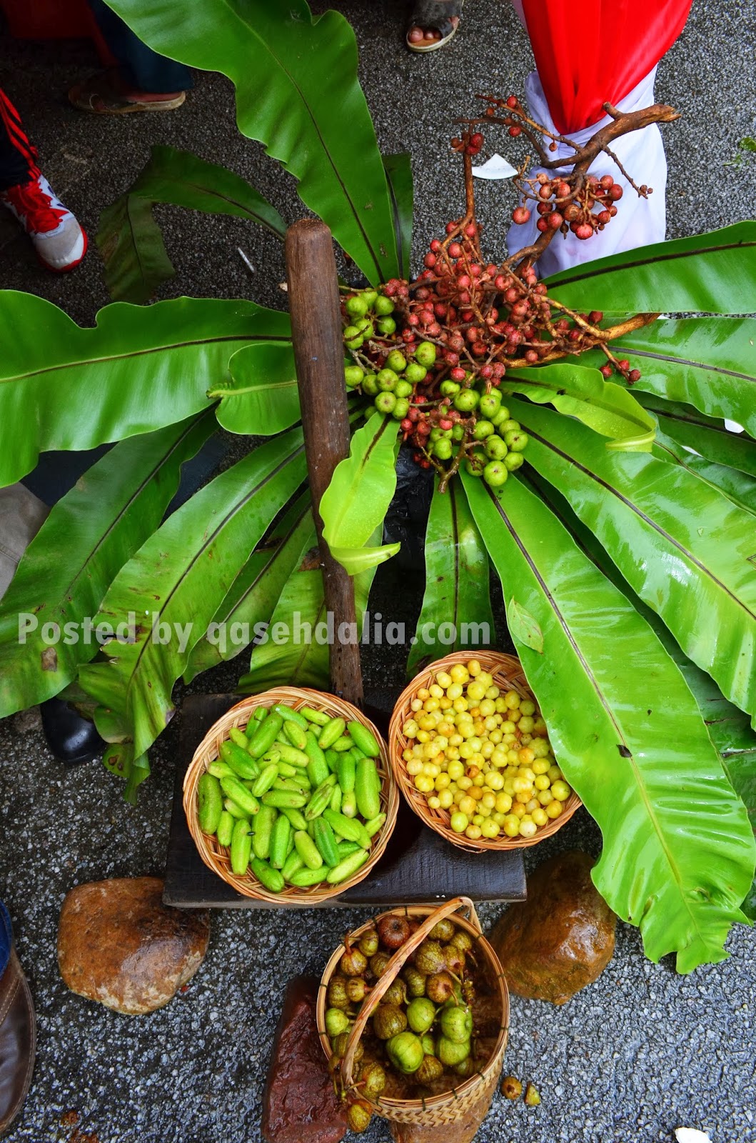 Makanan di Malaysia: folio makanan tradisional di malaysia - bqbzfuyz ...
