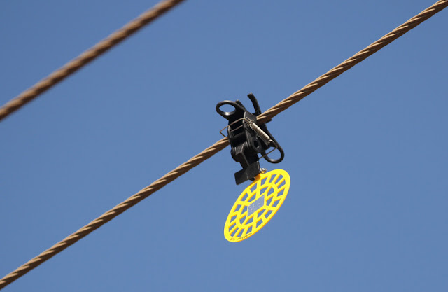 Bird Diverter: Protect Your Equipment And Wildlife By Using The Bird ...