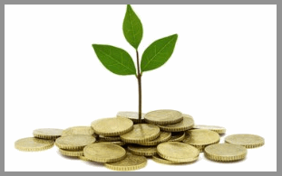 D'economía Blog: La inversión en el seno de la empresa