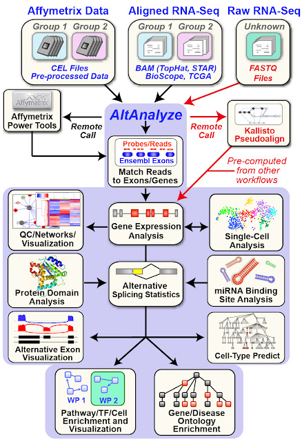 AltAnalyze Transcriptome Analysis: Hierarchical Clustering Heatmaps in ... AltAnalyze Transcriptome Analysis: Hierarchical Clustering Heatmaps in ...