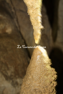 El Blog de La Curuxa del Sueve: CUEVA DE PANDO