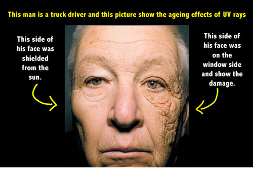 Umbrella Dreams & Brolly Brainstorms: The sun is shining, time to get ...