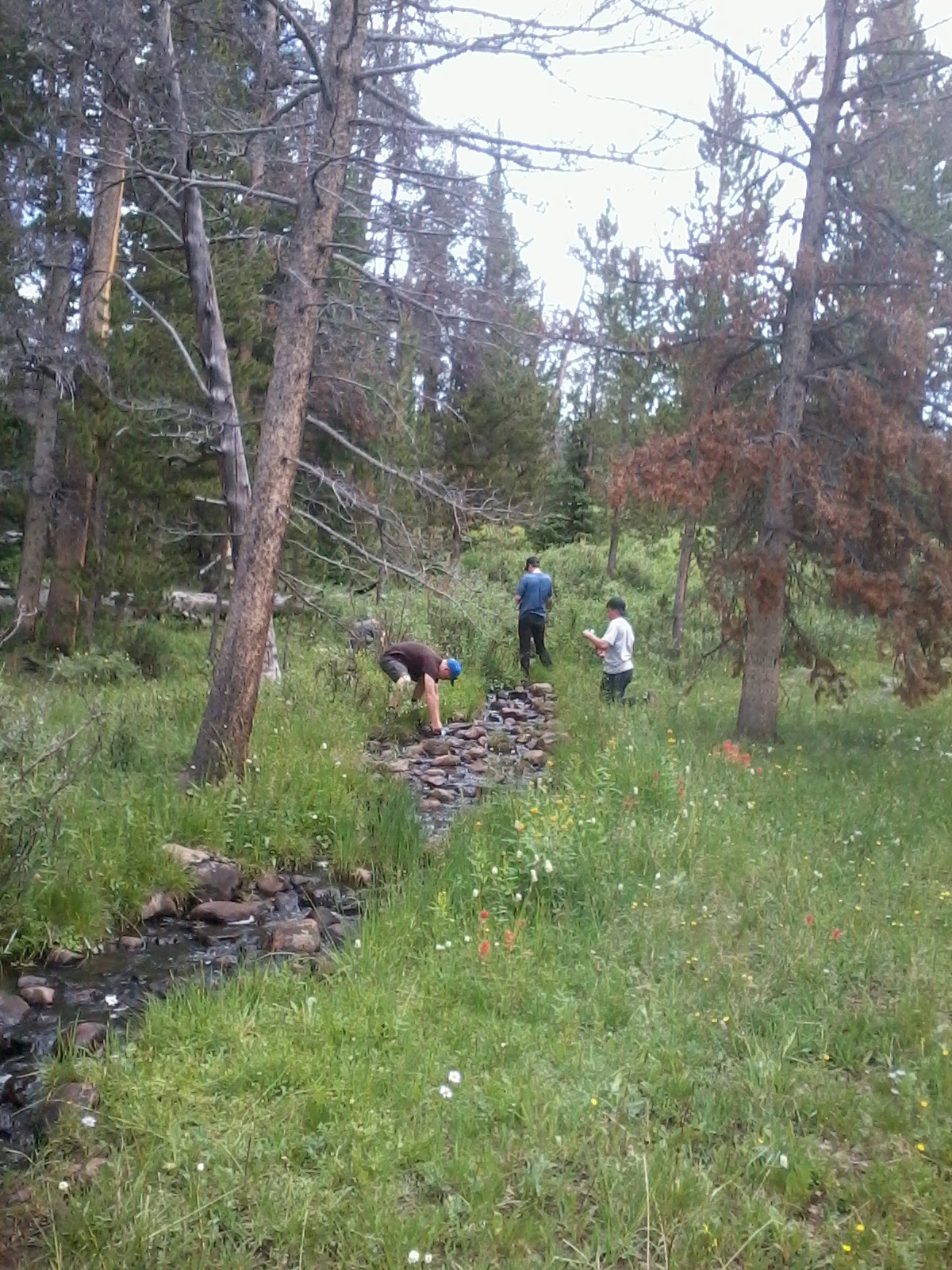 Travel the Path Less Trodden: Spotlight: The Uintas - Red Castle Lake