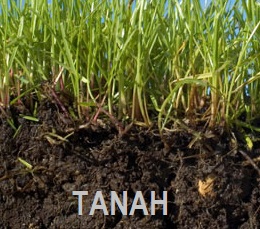 Anim Agro Technology: TANAH (Part 2)