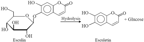 Hydroxycoumarins (Umbelliferone, Esculetin, Scopoletin, Daphentin, Fraxetin