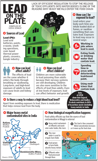 Lead - All you need to know! ~ Fantastic Fundas