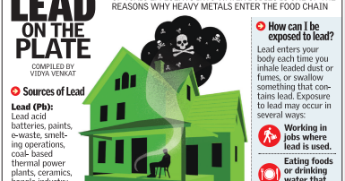 Lead - All you need to know! ~ Fantastic Fundas