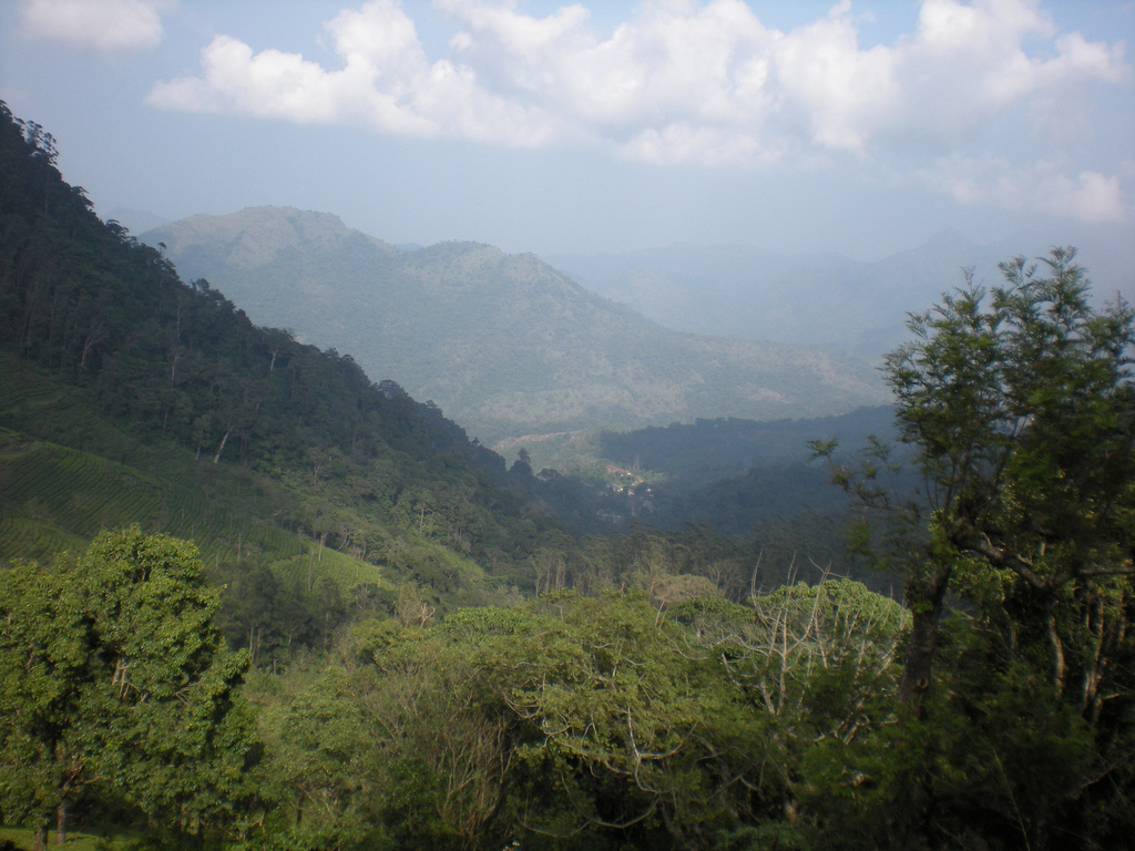 Tamilnadu Tourism: Manjolai Hills, Thirunelveli