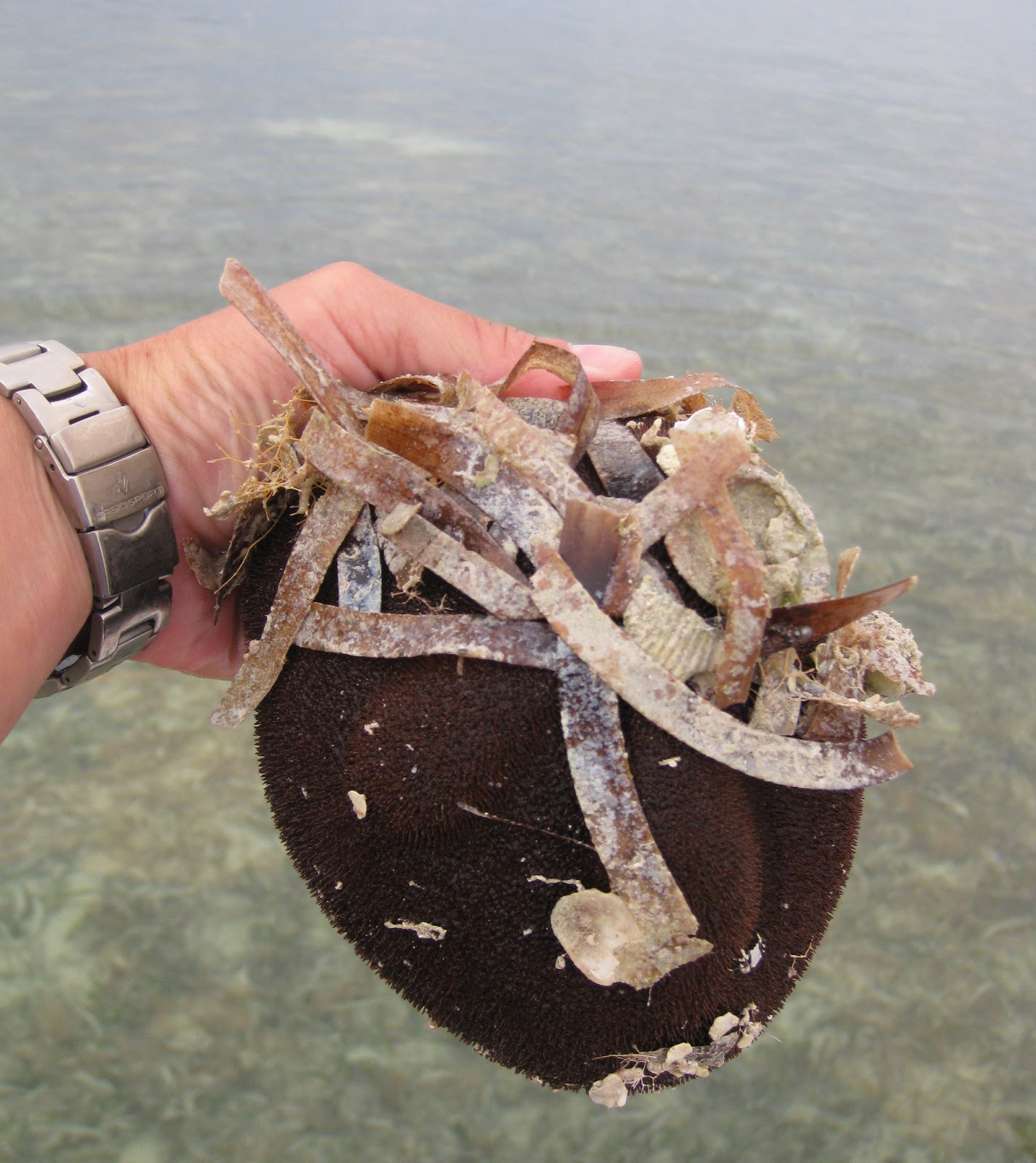 S/V LAYLA: Our First Outside Run