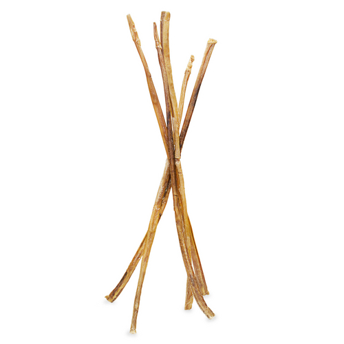 (over)budget pet: $9.99 [World's Biggest Bully Stick]