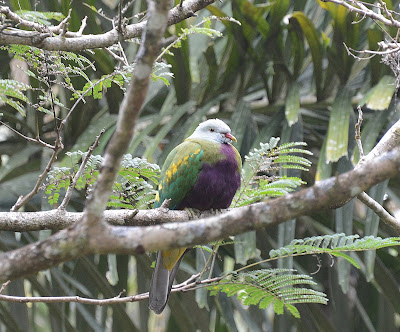 BunyipCo: April 2013