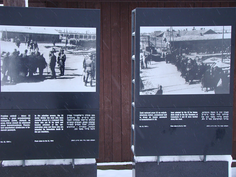 Auschwitz 2012: Auschwitz 2: Selection Ramp