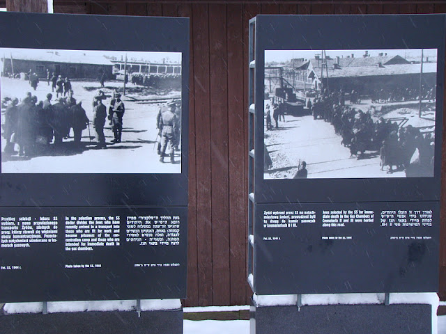 Auschwitz 2012: Auschwitz 2: Selection Ramp