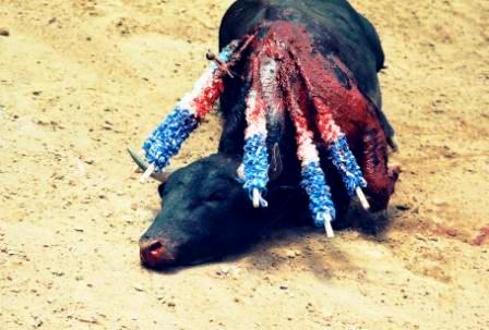 Econcientiza: Adiós a los toros