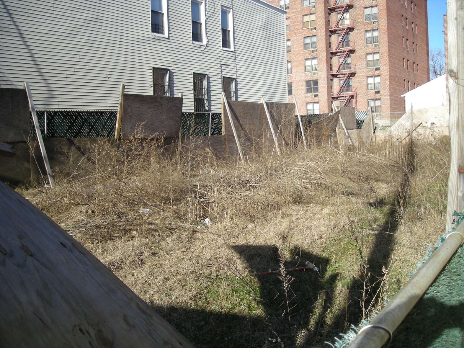 Queens Crap: Junky Jamaica