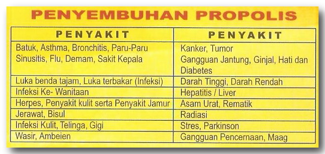 11 Manfaat Propolis Lebah Madu -Biologi- HEPTA BIOLOGI
